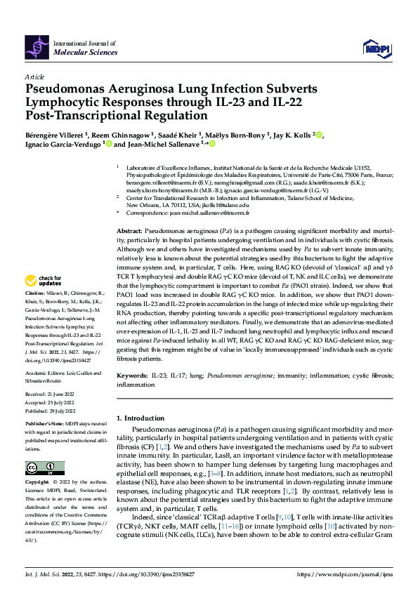 (PDF) Pseudomonas Aeruginosa Lung Infection Subverts Lymphocytic ...