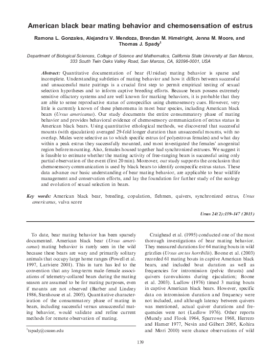 (PDF) American black bear mating behavior and chemosensation of estrus