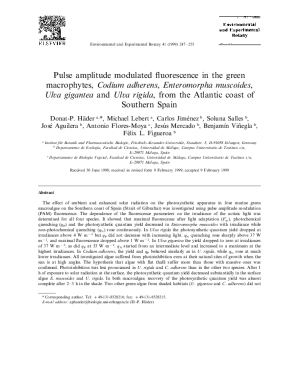 (PDF) PAM Fluorescence in Southern Spain Green Algae