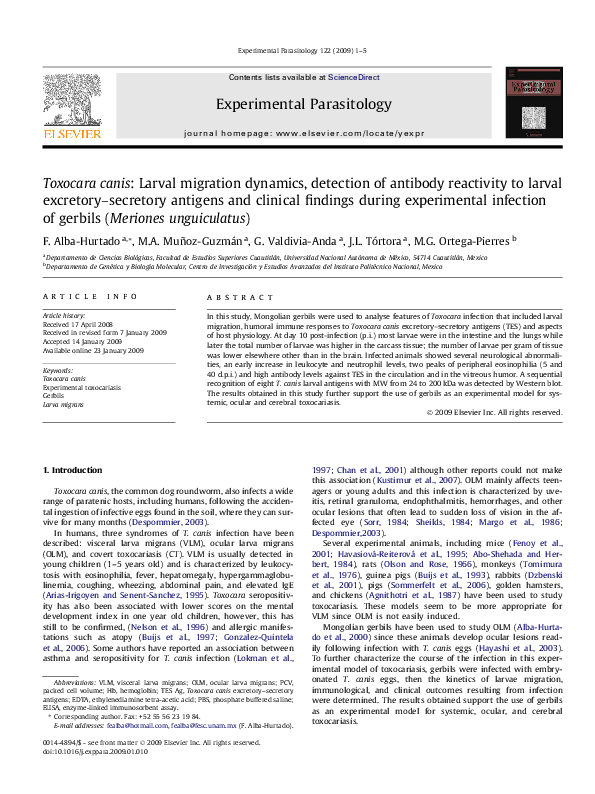 (PDF) Toxocara canis: Larval migration dynamics, detection of antibody ...