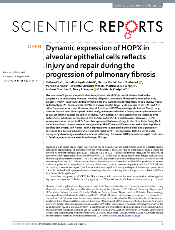 (PDF) Dynamic expression of HOPX in alveolar epithelial cells reflects ...