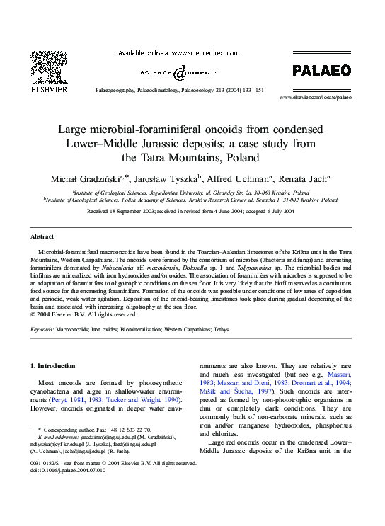 (PDF) Large microbial-foraminiferal oncoids from condensed Lower–Middle ...