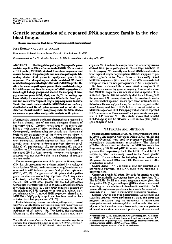 (PDF) Genetic organization of a repeated DNA sequence family in the ...