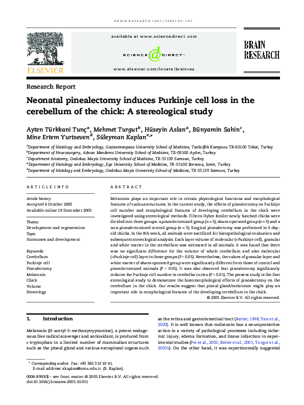 (PDF) Neonatal pinealectomy induces Purkinje cell loss in the ...