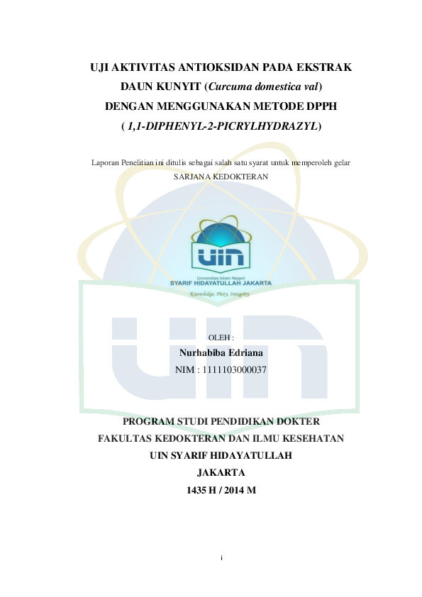 (PDF) Uji aktivitas antioksidan pada ekstrak daun kunyit (curcuma domestica val) dengan ...