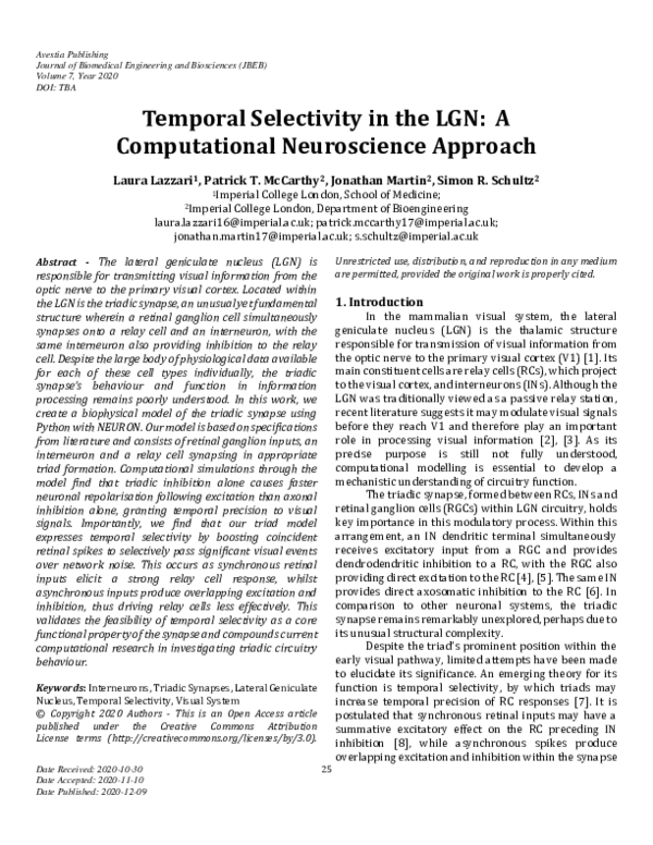 (PDF) Temporal Selectivity in the LGN: A Computational Approach
