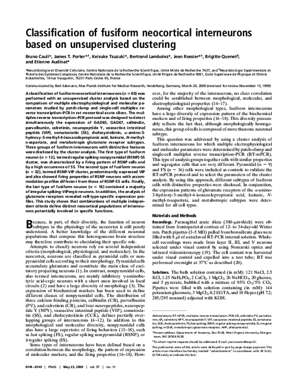 (PDF) Classification of fusiform neocortical interneurons using the ...