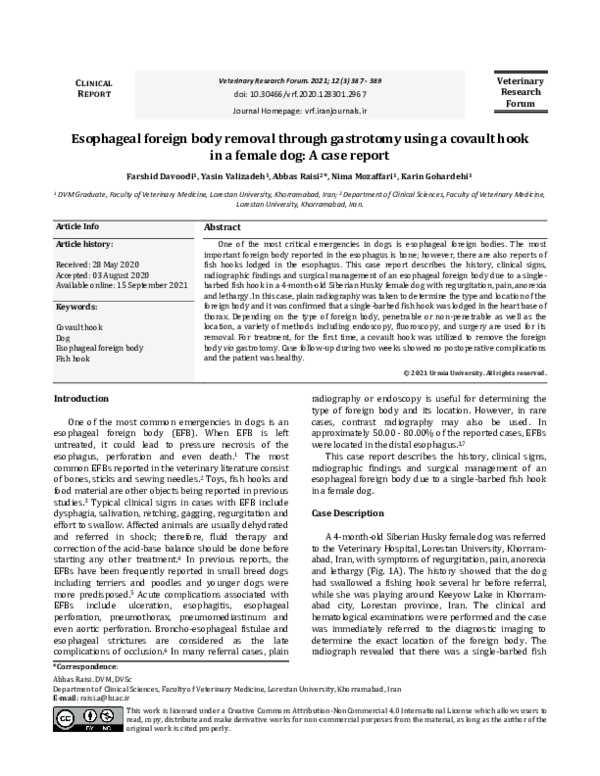 (PDF) Esophageal foreign body removal through gastrotomy using a ...