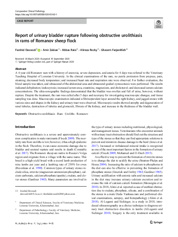 (PDF) Report of urinary bladder rupture following obstructive ...