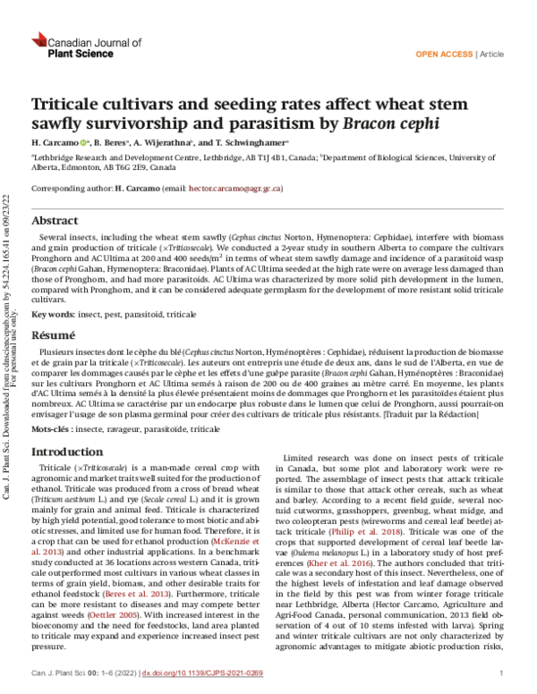 (PDF) Triticale cultivars and seeding rates affect wheat stem sawfly ...