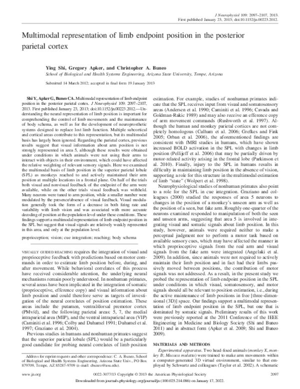 (PDF) Multimodal representation of limb endpoint position in the posterior parietal cortex