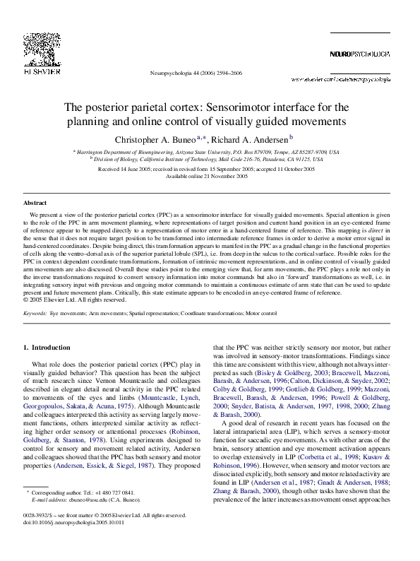 (PDF) The posterior parietal cortex: Sensorimotor interface for the ...