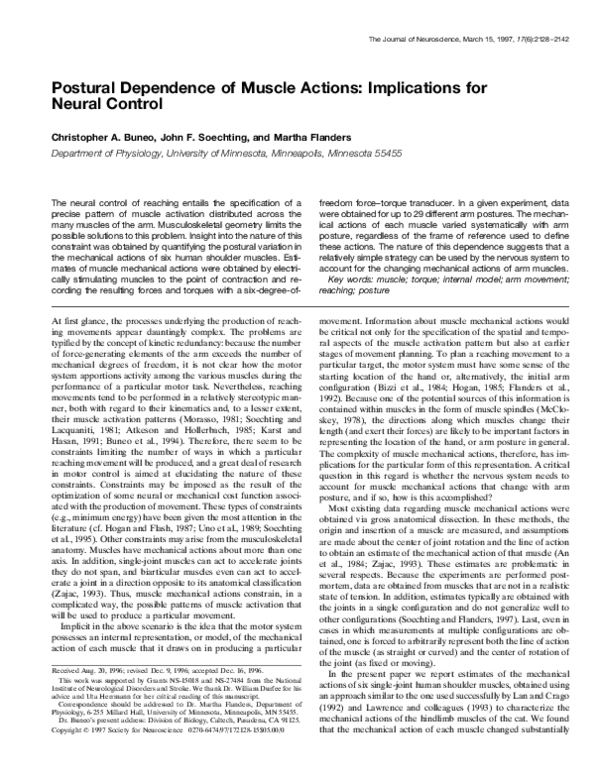 (PDF) Postural Dependence of Muscle Actions: Implications for Neural ...