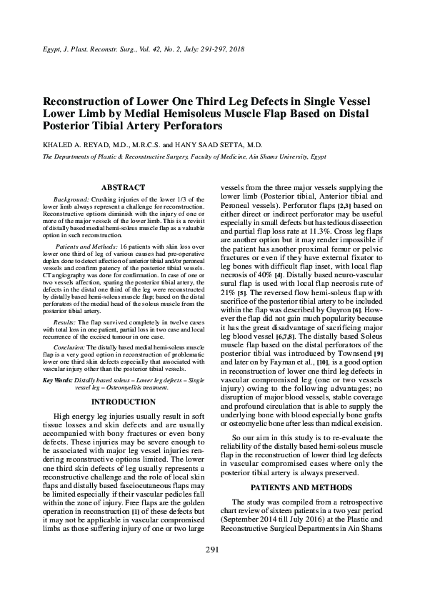 (PDF) Reconstruction of Lower One Third Leg Defects in Single Vessel ...