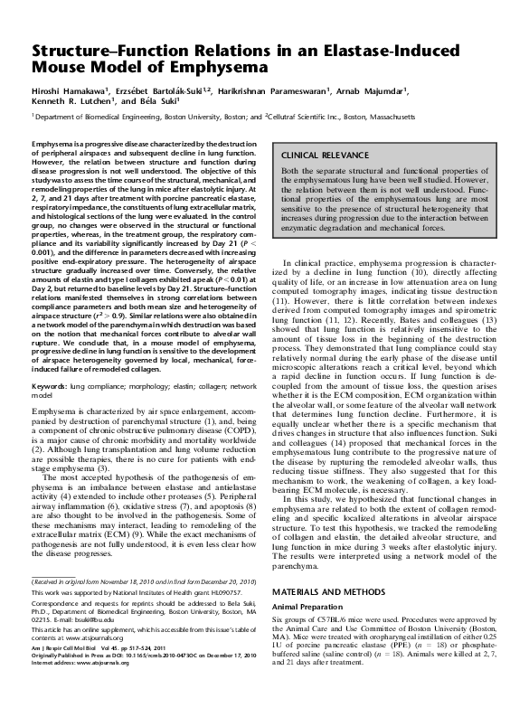 (PDF) Structure–Function Relations in an Elastase-Induced Mouse Model ...