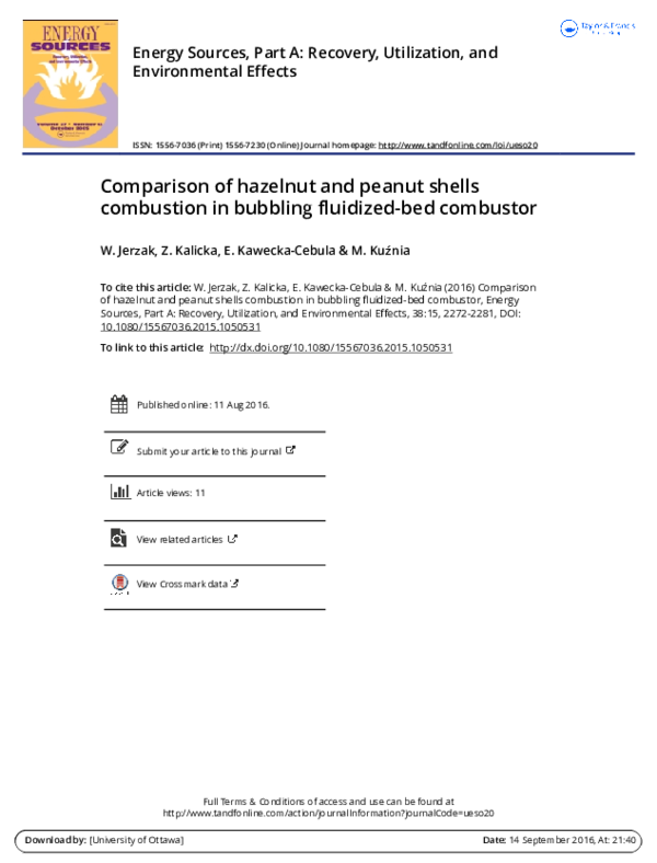 (PDF) Comparison of hazelnut and peanut shells combustion in bubbling ...