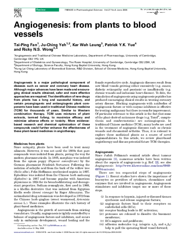 (PDF) Angiogenesis: from plants to blood vessels