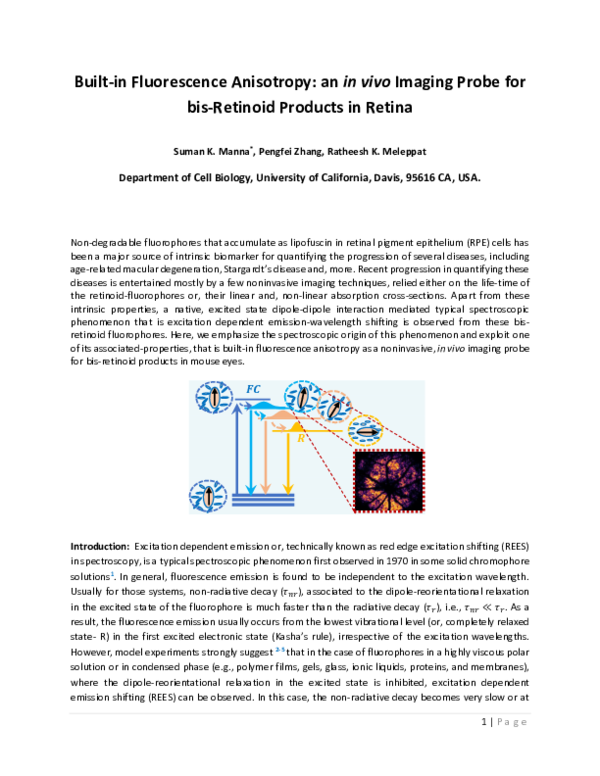 (PDF) Built-in Fluorescence Anisotropy: an in vivo Imaging Probe for ...