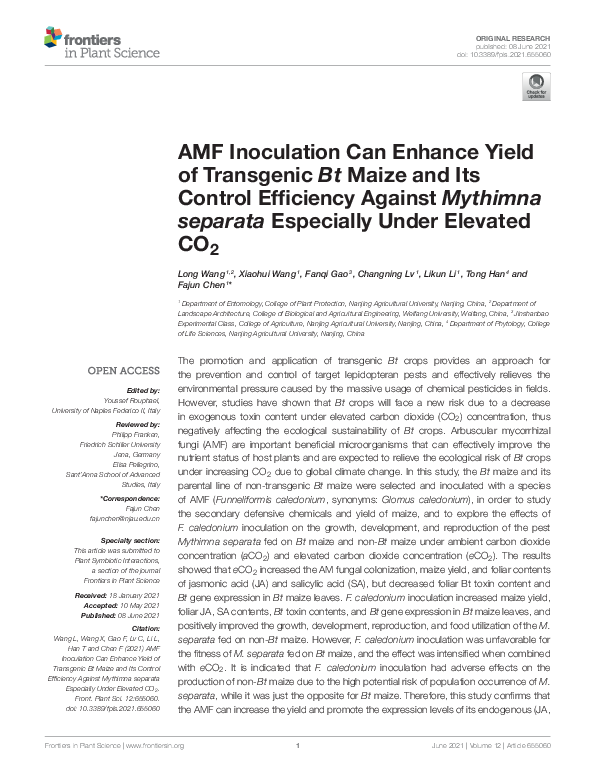 (PDF) AMF Inoculation Can Enhance Yield of Transgenic Bt Maize and Its ...