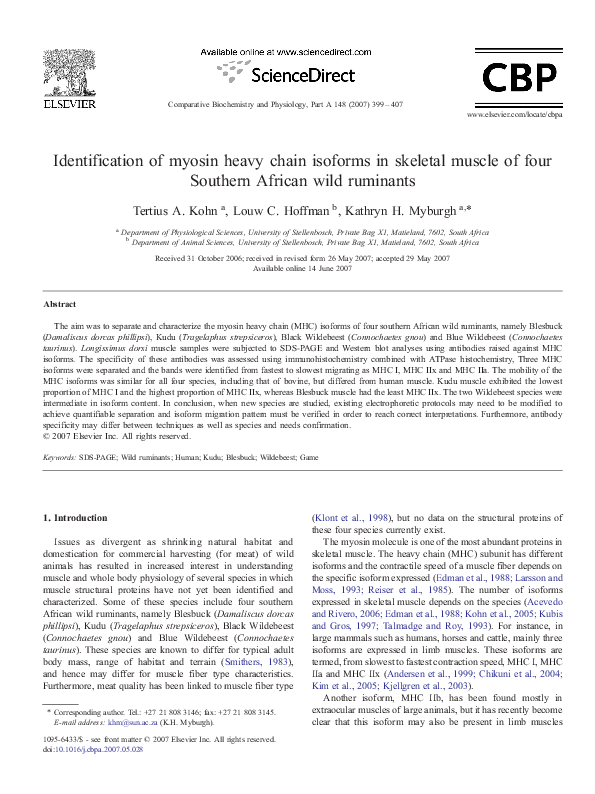 (PDF) Identification of myosin heavy chain isoforms in skeletal muscle ...