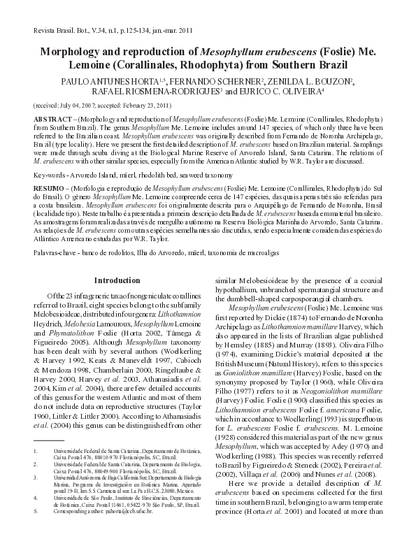(PDF) Morphology and reproduction of Mesophyllum erubescens (Foslie) Me ...