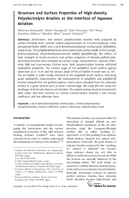 (PDF) Structure and Surface Properties of High-density Polyelectrolyte ...