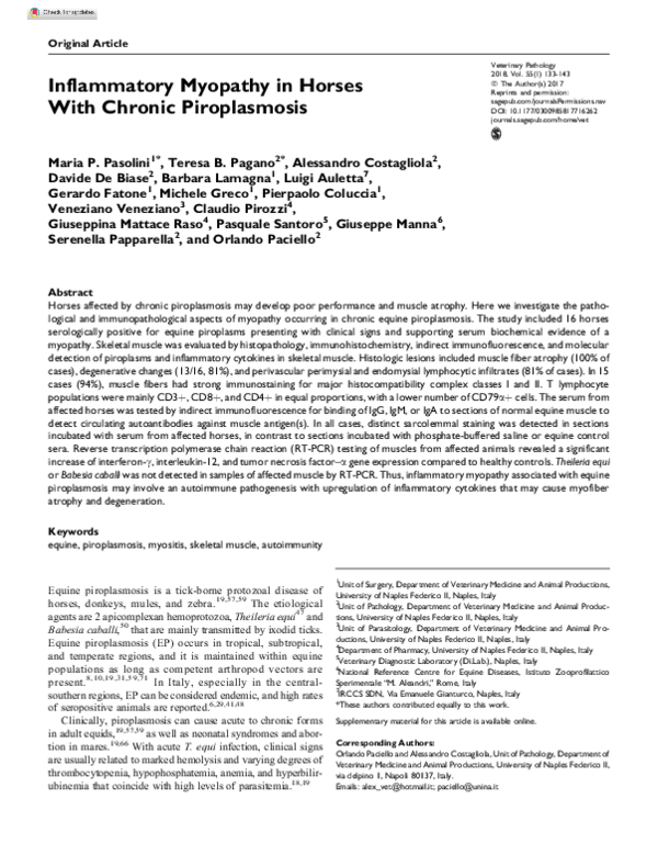 (PDF) Inflammatory Myopathy in Horses With Chronic Piroplasmosis