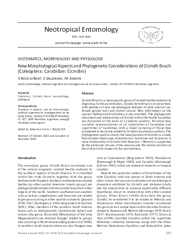(PDF) New morphological aspects and phylogenetic considerations of ...