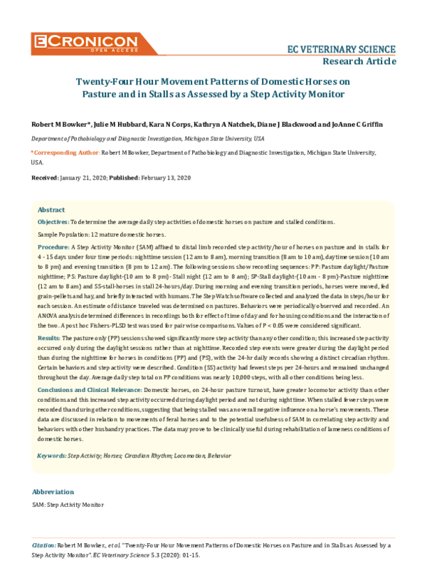 (PDF) Twenty-Four Hour Movement Patterns of Domestic Horses onPasture ...
