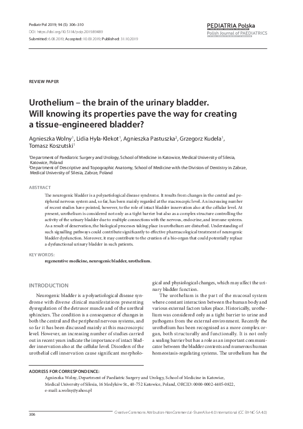 (PDF) Urothelium – the brain of the urinary bladder. Will knowing its ...