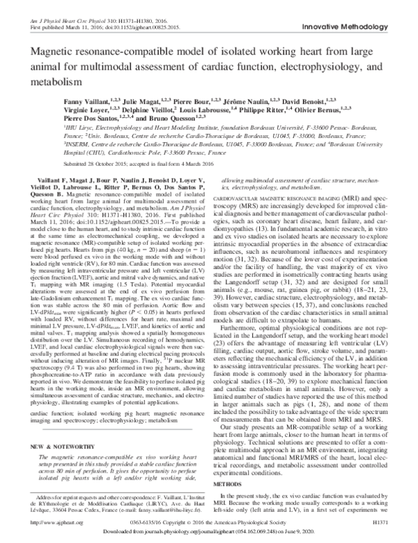 (PDF) Magnetic resonance-compatible model of isolated working heart ...
