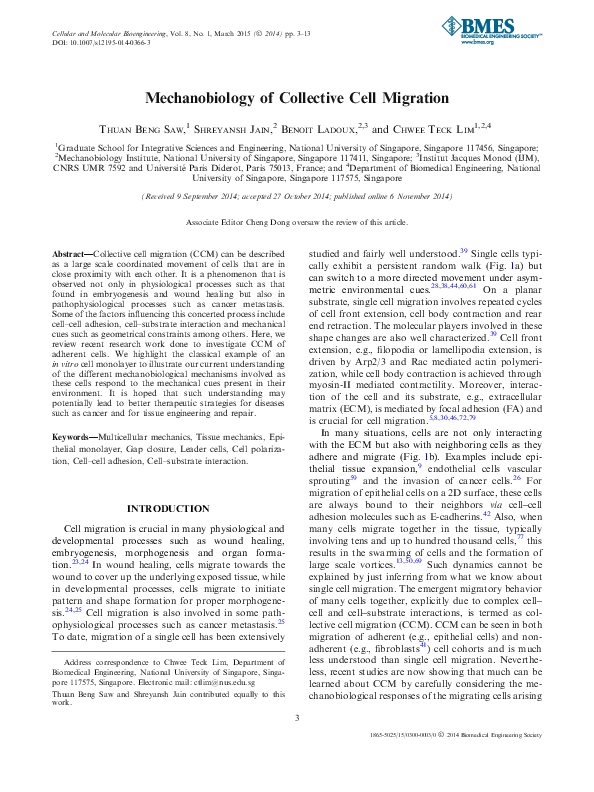(PDF) Mechanobiology of Collective Cell Migration