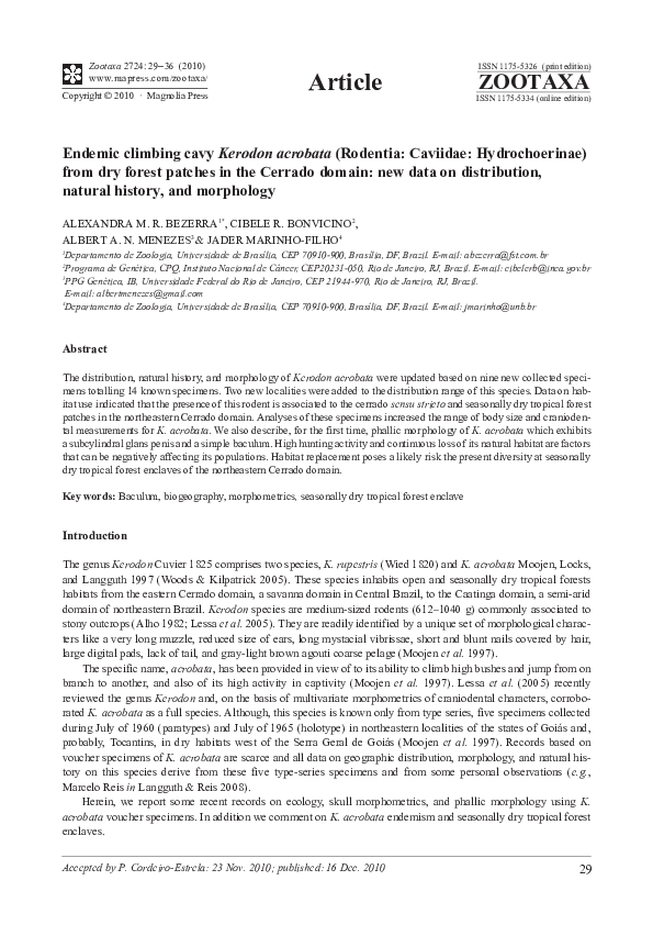 (PDF) Endemic climbing cavy Kerodon acrobata (Rodentia: Caviidae ...