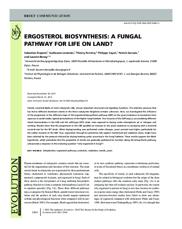 (PDF) Ergosterol Biosynthesis: A Fungal Pathway for Life on Land?