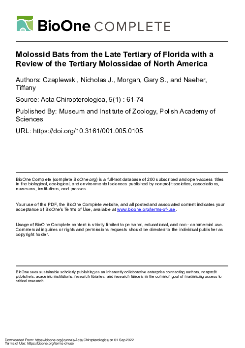 (PDF) Molossid Bats from the Late Tertiary of Florida with a Review of ...