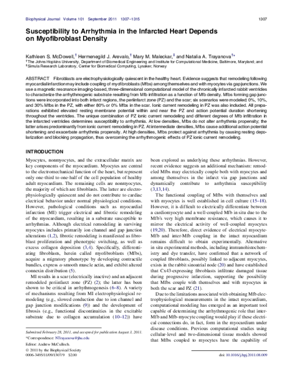(PDF) Susceptibility to Arrhythmia in the Infarcted Heart Depends on ...