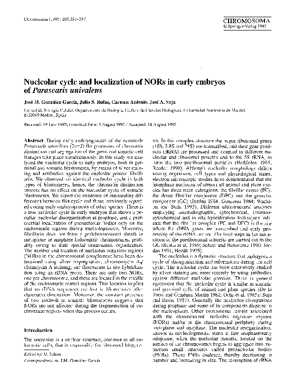(PDF) Nucleolar cycle and localization of NORs in early embryos of ...