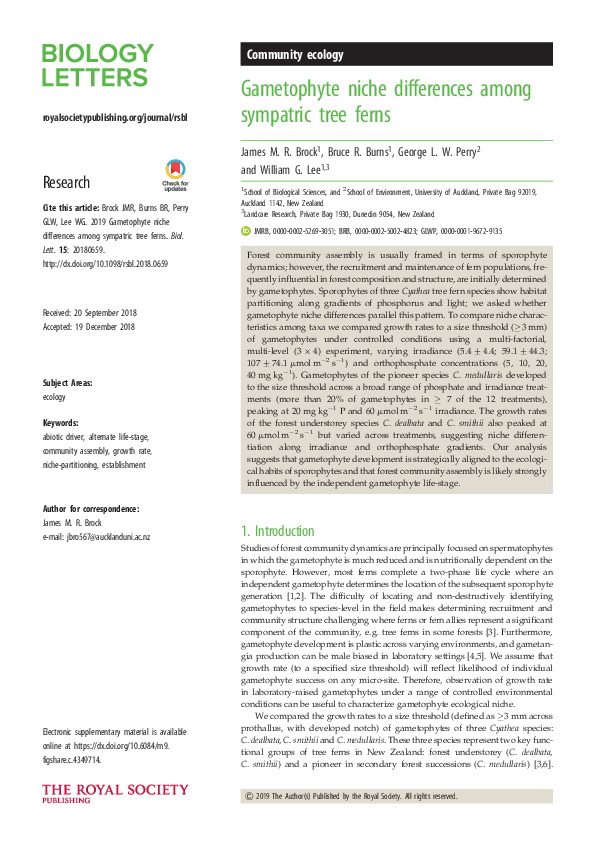 (PDF) Gametophyte niche differences among sympatric tree ferns