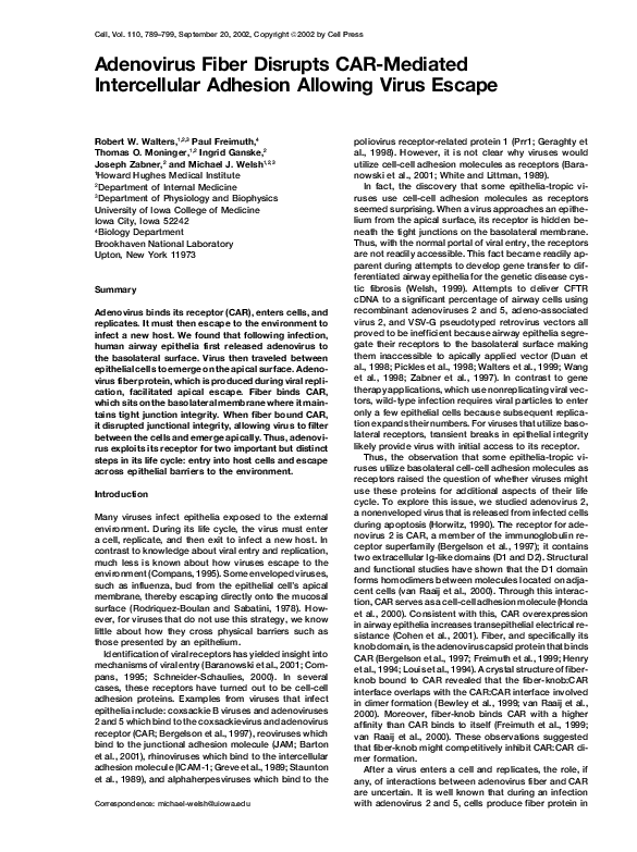 (PDF) Adenovirus Fiber Disrupts CAR-Mediated Intercellular Adhesion ...