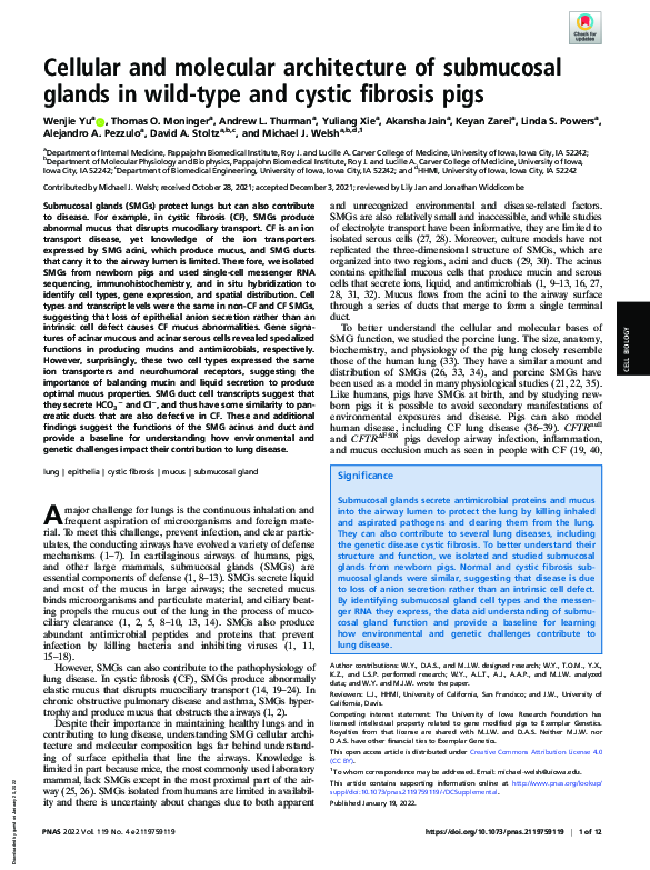 (PDF) Cellular and molecular architecture of submucosal glands in wild ...