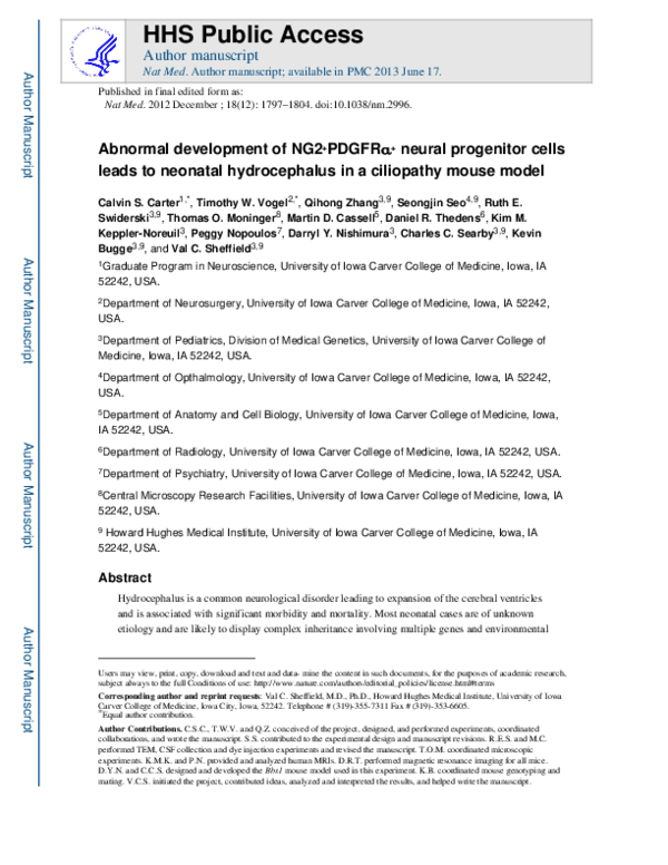 (PDF) Abnormal development of NG2+PDGFR-α+ neural progenitor cells ...