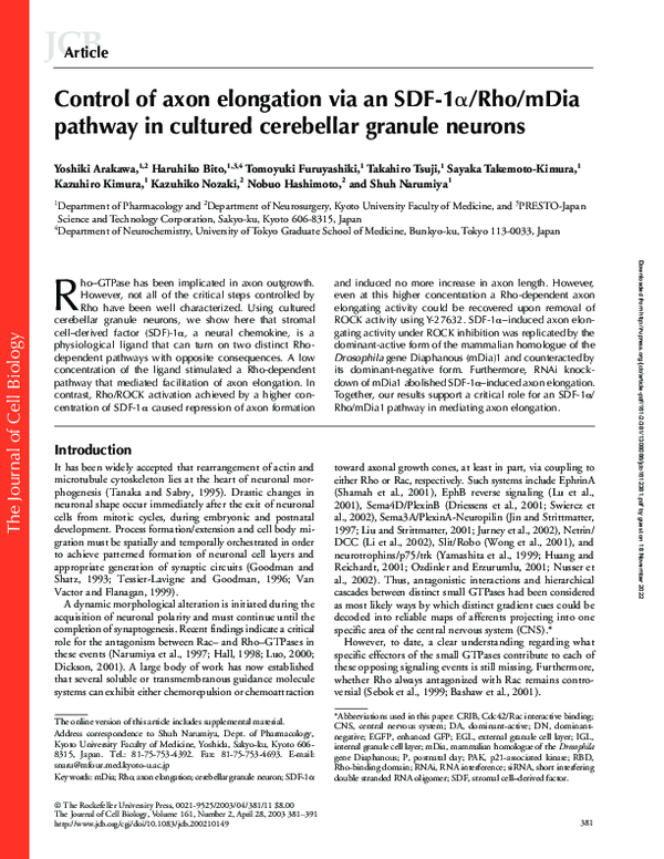 (PDF) Control of axon elongation via an SDF-1α/Rho/mDia pathway in ...