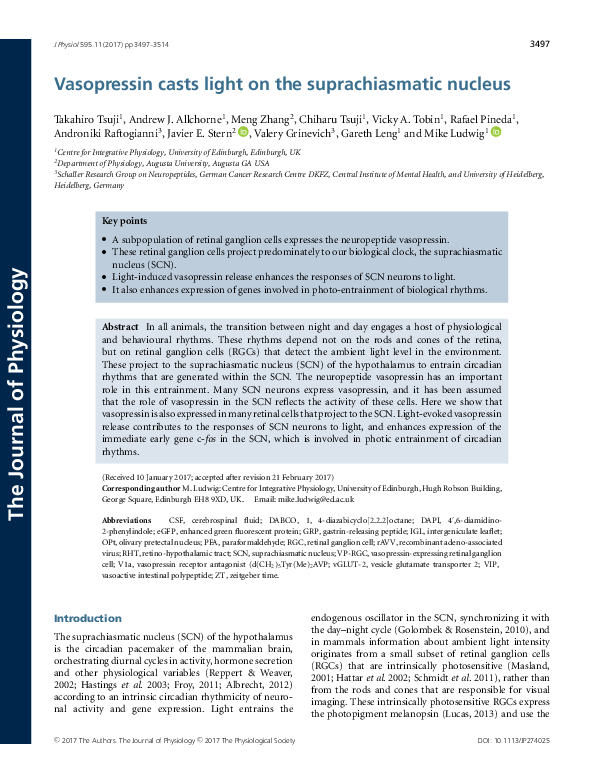 (PDF) Vasopressin casts light on the suprachiasmatic nucleus