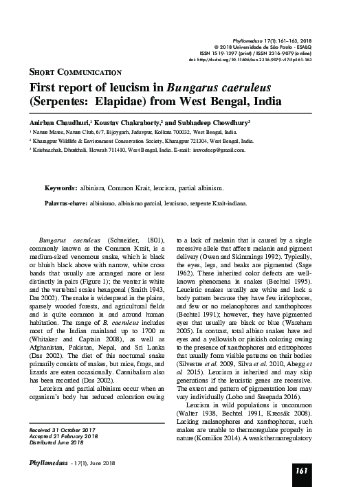 (PDF) First report of leucism in Bungarus caeruleus (Serpentes ...