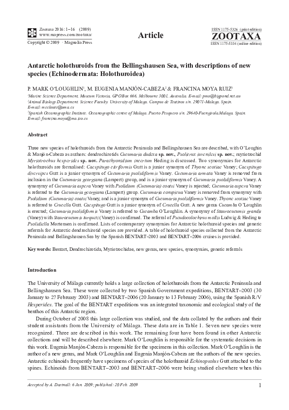 (PDF) Antarctic holothuroids from the Bellingshausen Sea, with ...