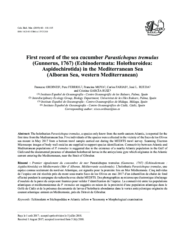 (PDF) First record of the sea cucumber Parastichopus tremulus (Gunnerus ...