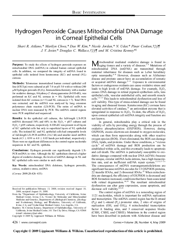 (PDF) Hydrogen Peroxide Causes Mitochondrial DNA Damage in Corneal ...
