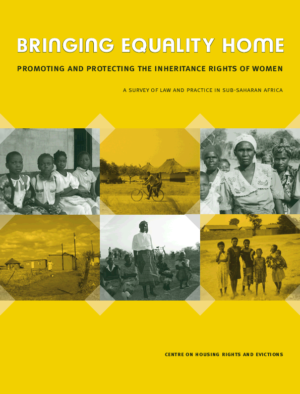 (PDF) Bringing Equality Home: Promoting and Protecting the Inheritance ...