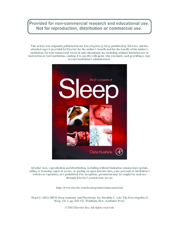 (PDF) REM Sleep Anatomy and Physiology