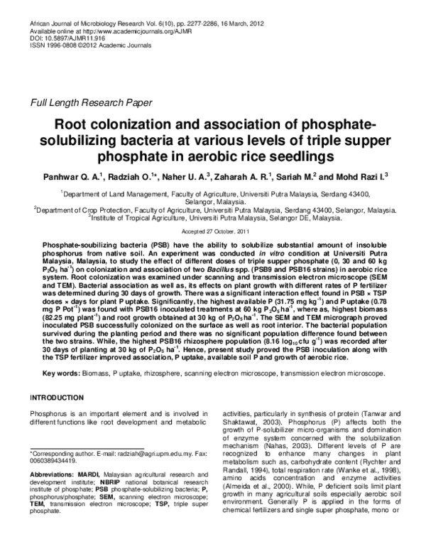 (PDF) Root colonization and association of phosphate- solubilizing bacteria at various levels of ...